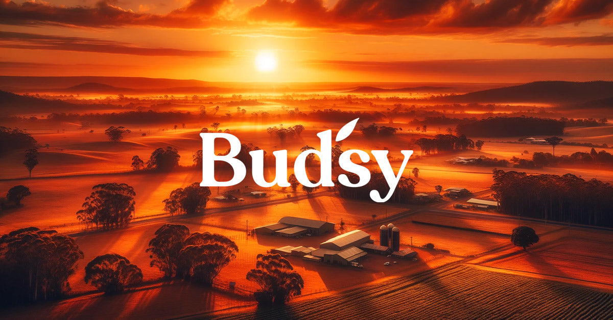 Budsy – Alternative Medicine Cultivation in Australia